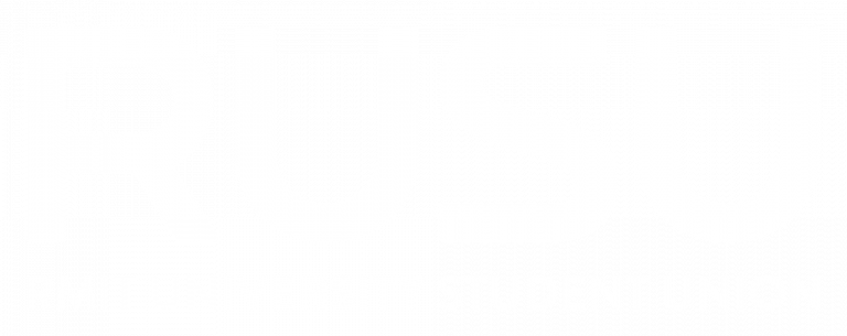 Council - For students by students
